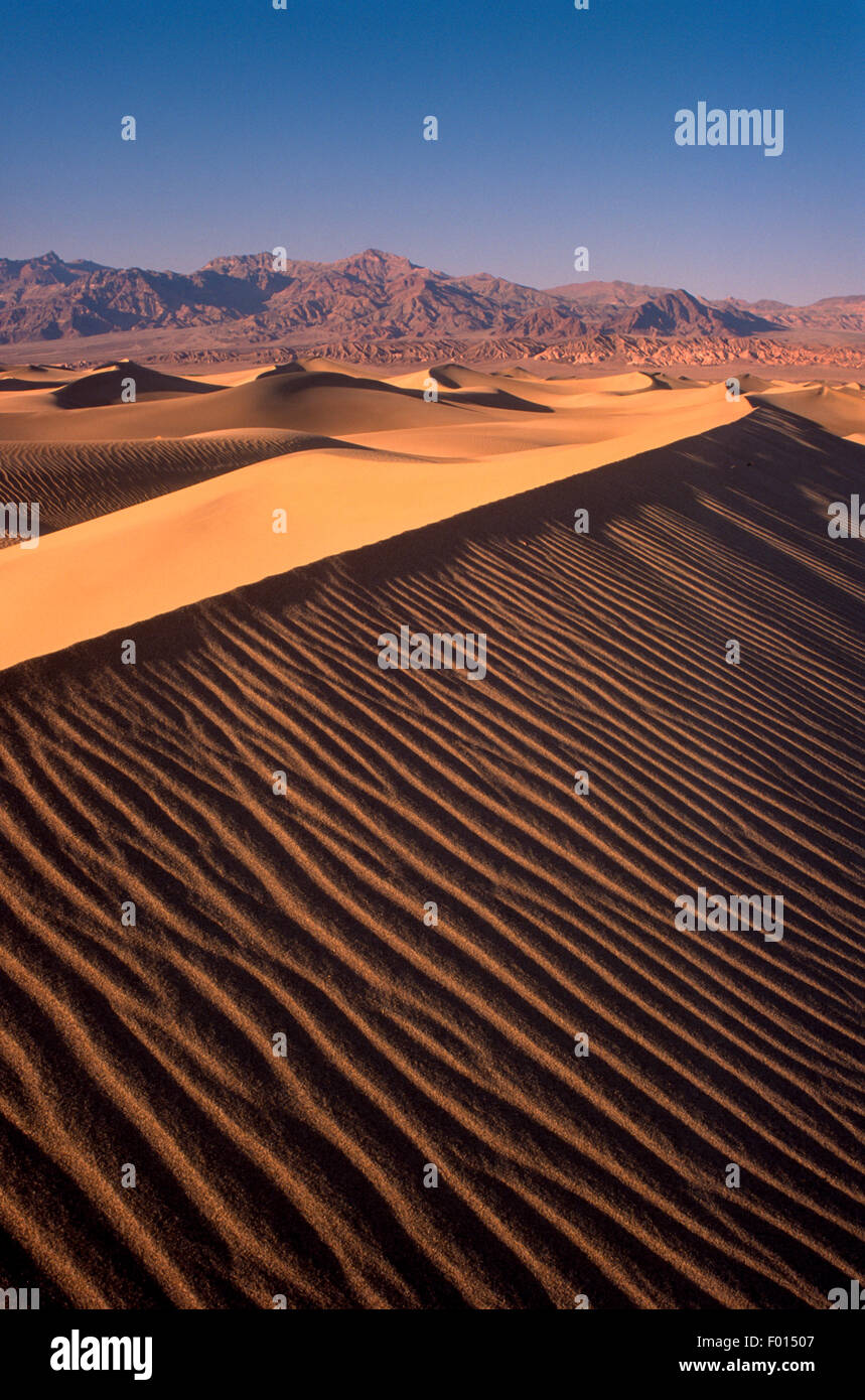 Flat sand hi-res stock photography and images - Alamy