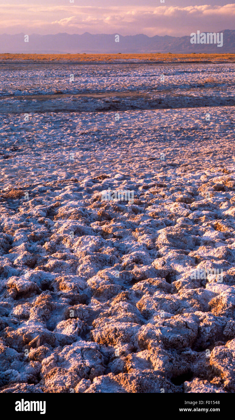 Salt flats texture hi-res stock photography and images - Alamy