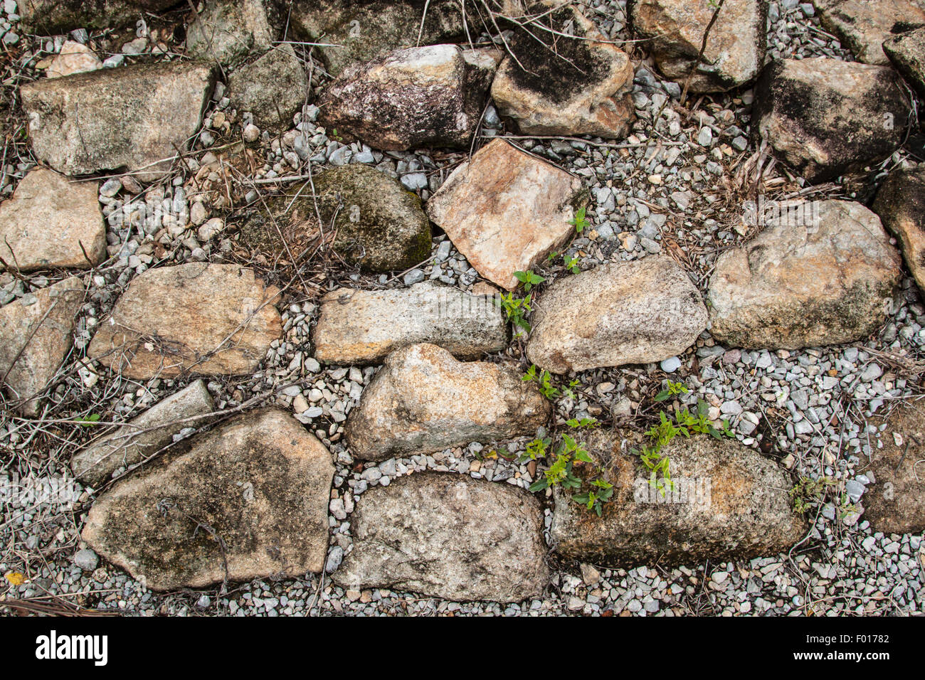 rock in the nature Stock Photo - Alamy