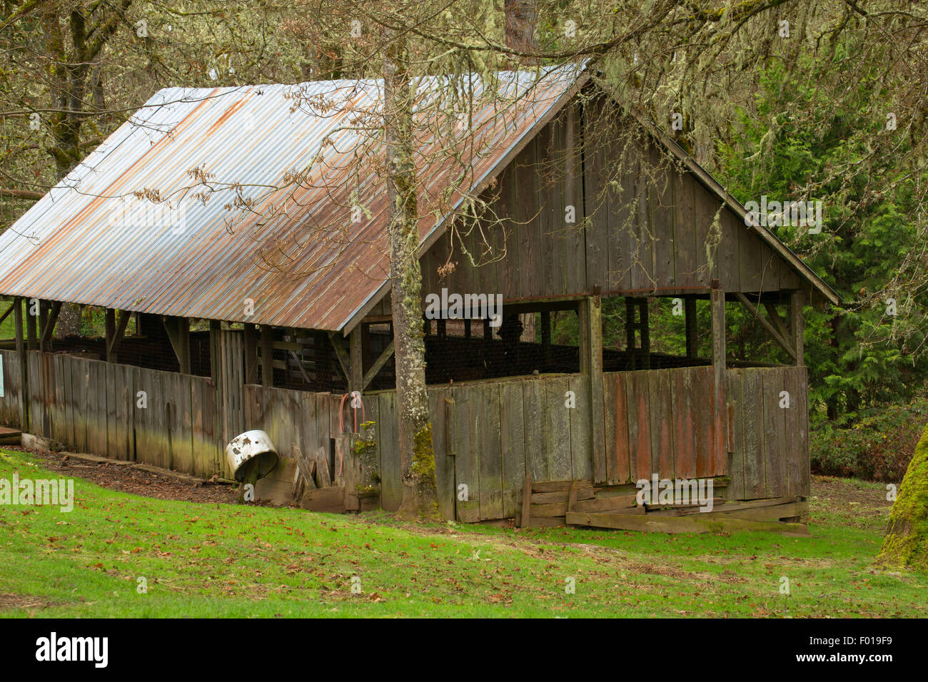 Sheep shearing shed hi-res stock photography and images - Alamy