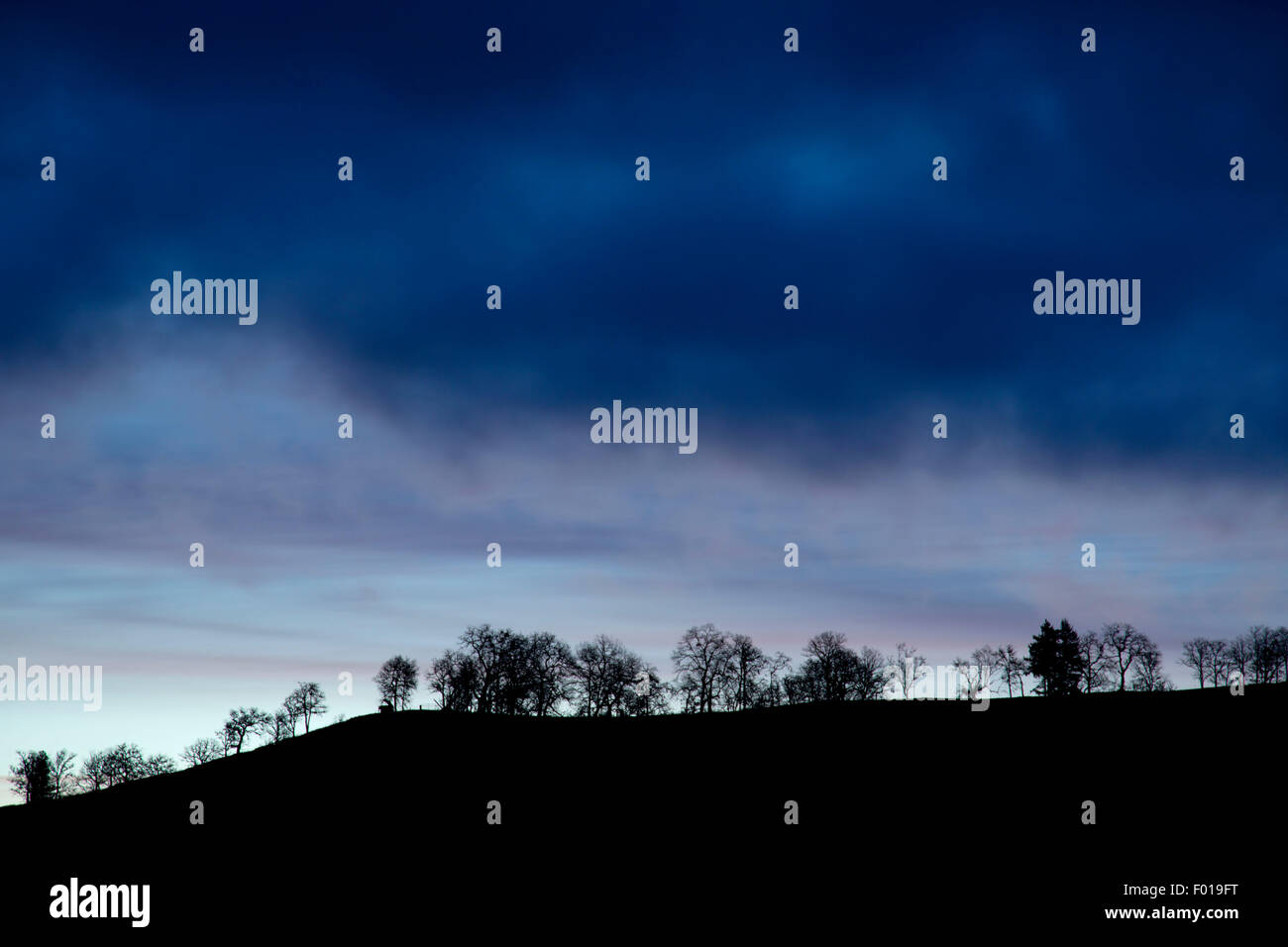 Oak silhouette hi-res stock photography and images - Alamy