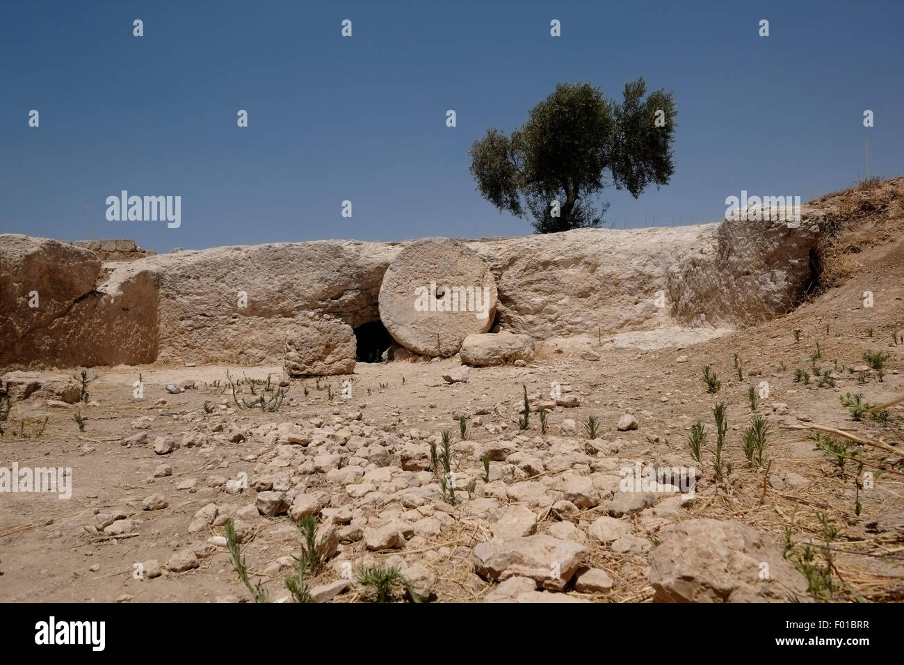 The ancient archaeological site located near the Israeli settlement of ...