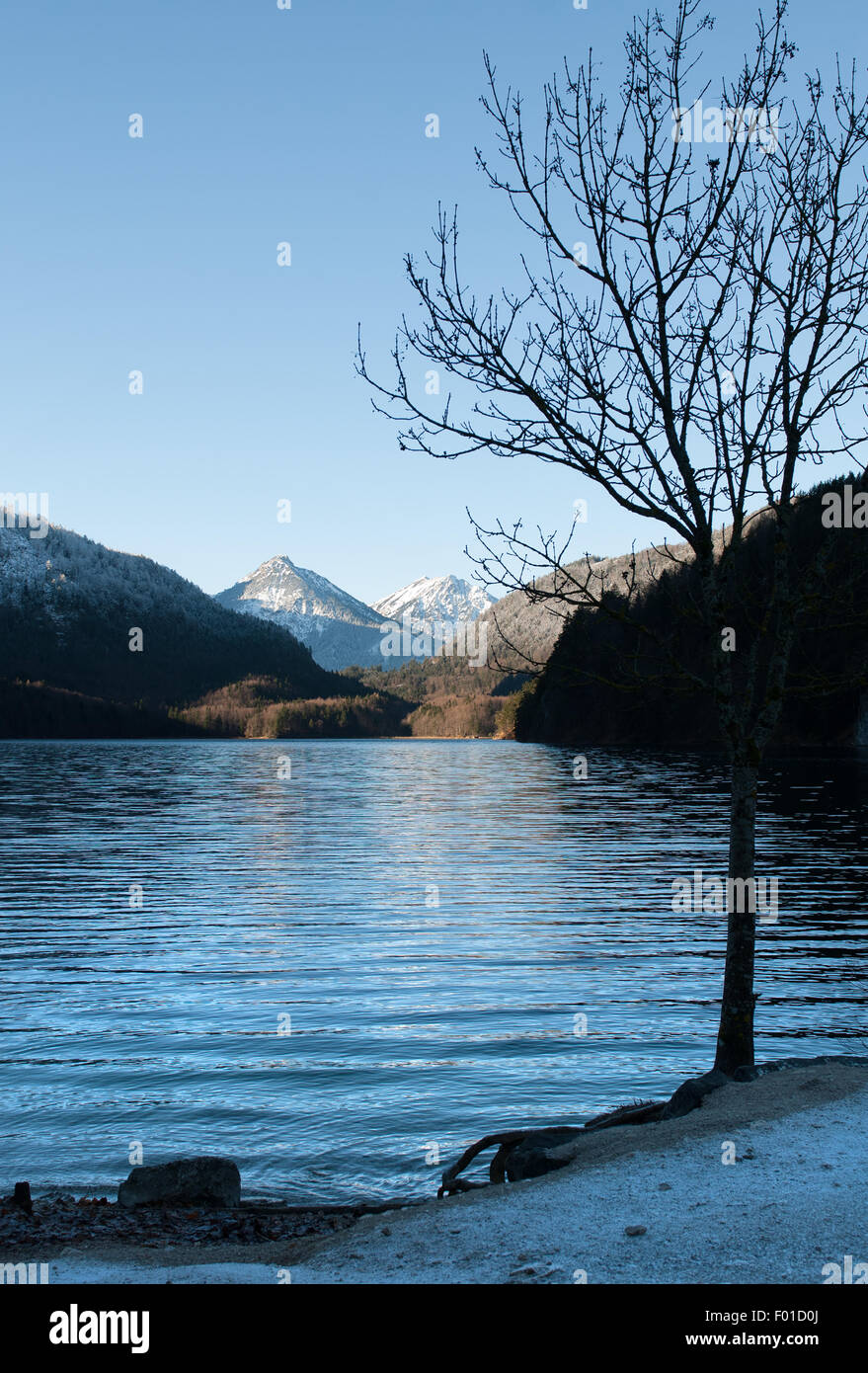 Lake Alpsee, in Winter, near Schwangau, Germany Stock Photo - Alamy