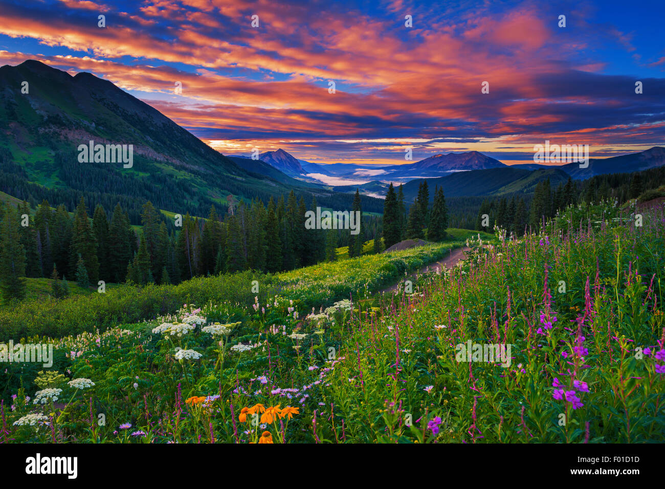 romantic morning of Colorado Stock Photo - Alamy