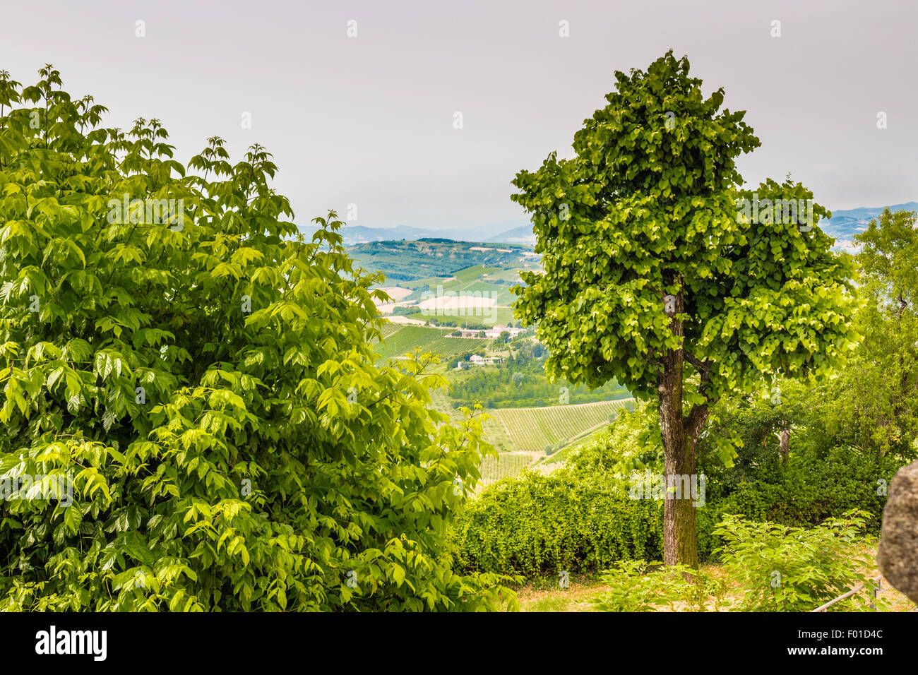 nature and memories - view from the terrace of the medieval village of ...