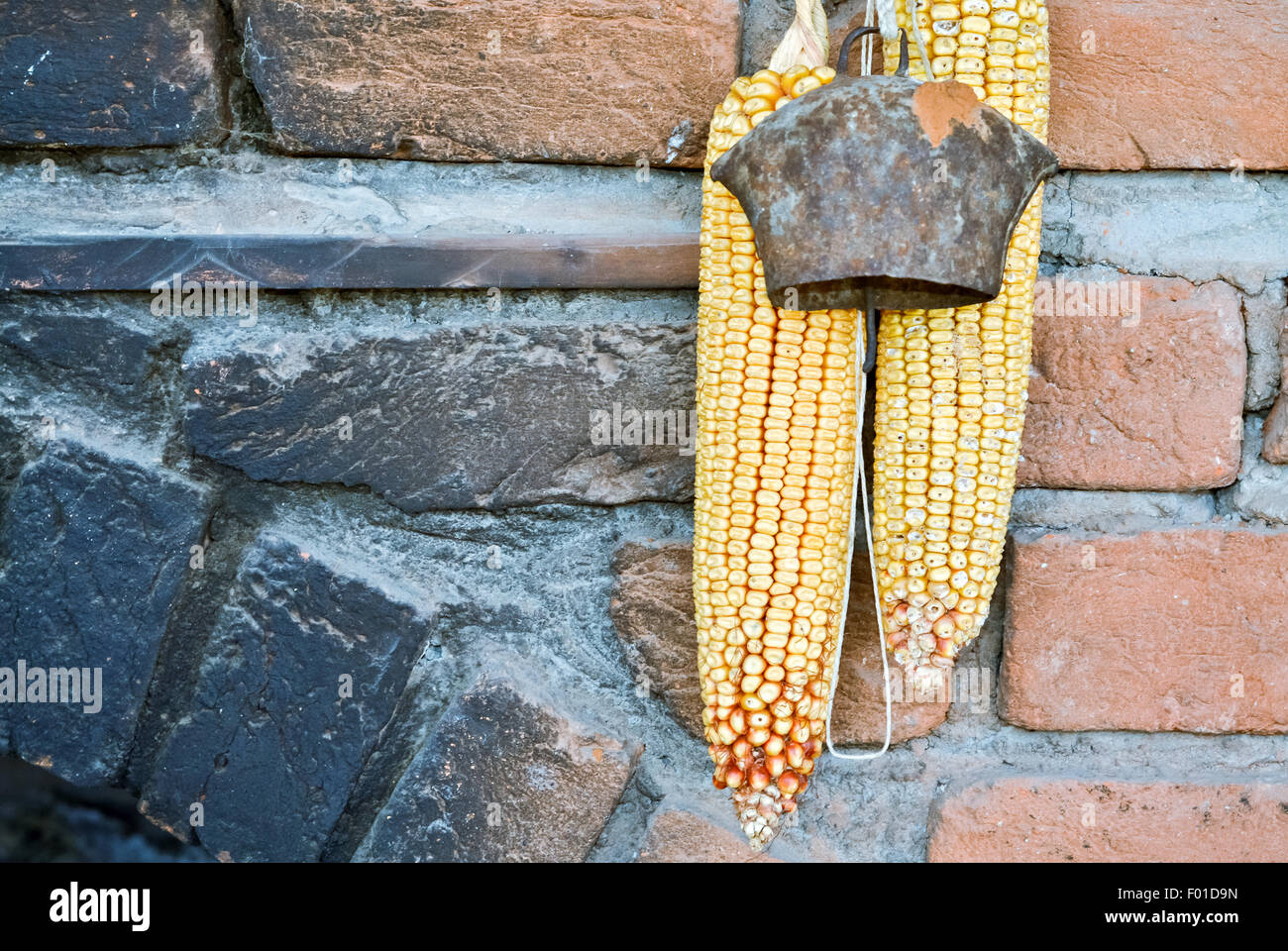 Two corn cobs hanging on the wall close to the fireplace Stock Photo ...