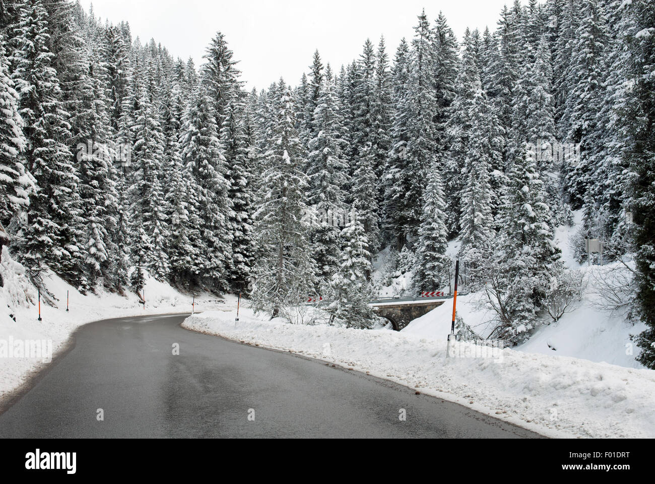 Alpine road forest mountains hi-res stock photography and images - Alamy
