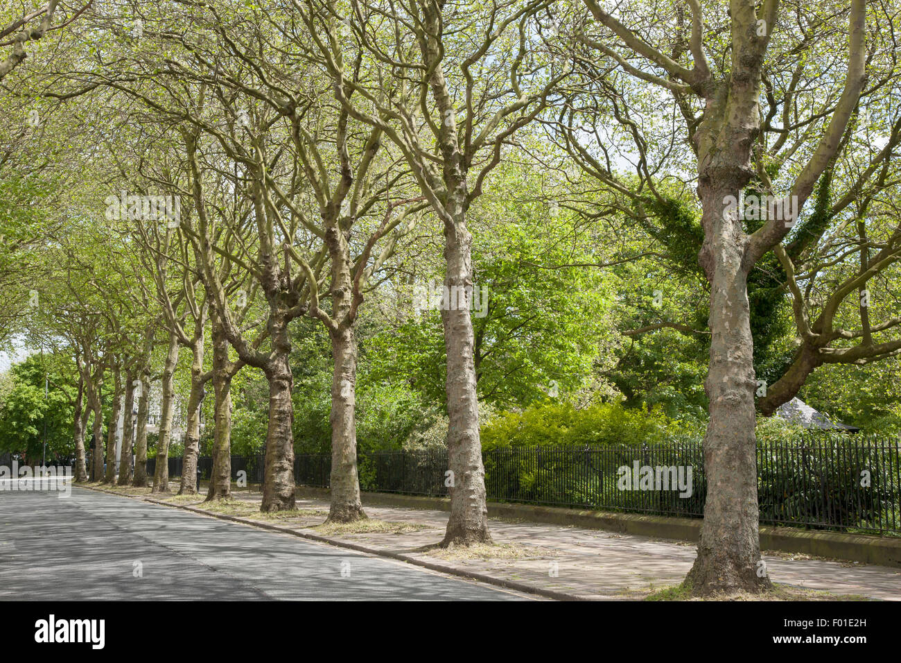 Falkner Square; Liverpool; England; UK Stock Photo - Alamy