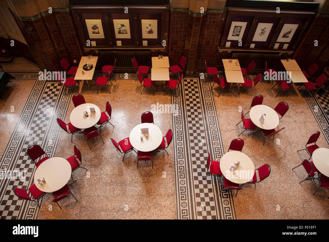 Liverpool University Victoria Building Gallery and Museum Cafe, England ...