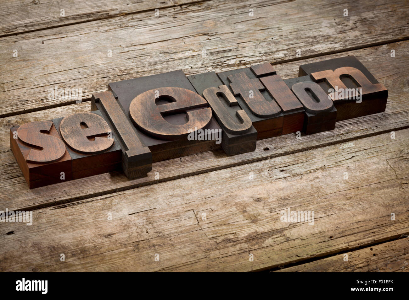 selection, word written with vintage letterpress printing blocks ...