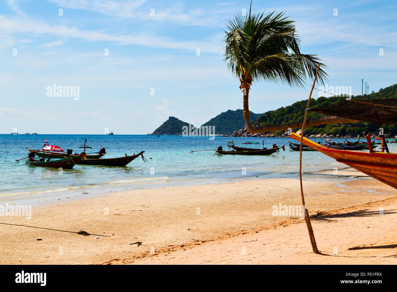 sun ligt asia in the kho tao bay isle white beach rocks boat thailand ...