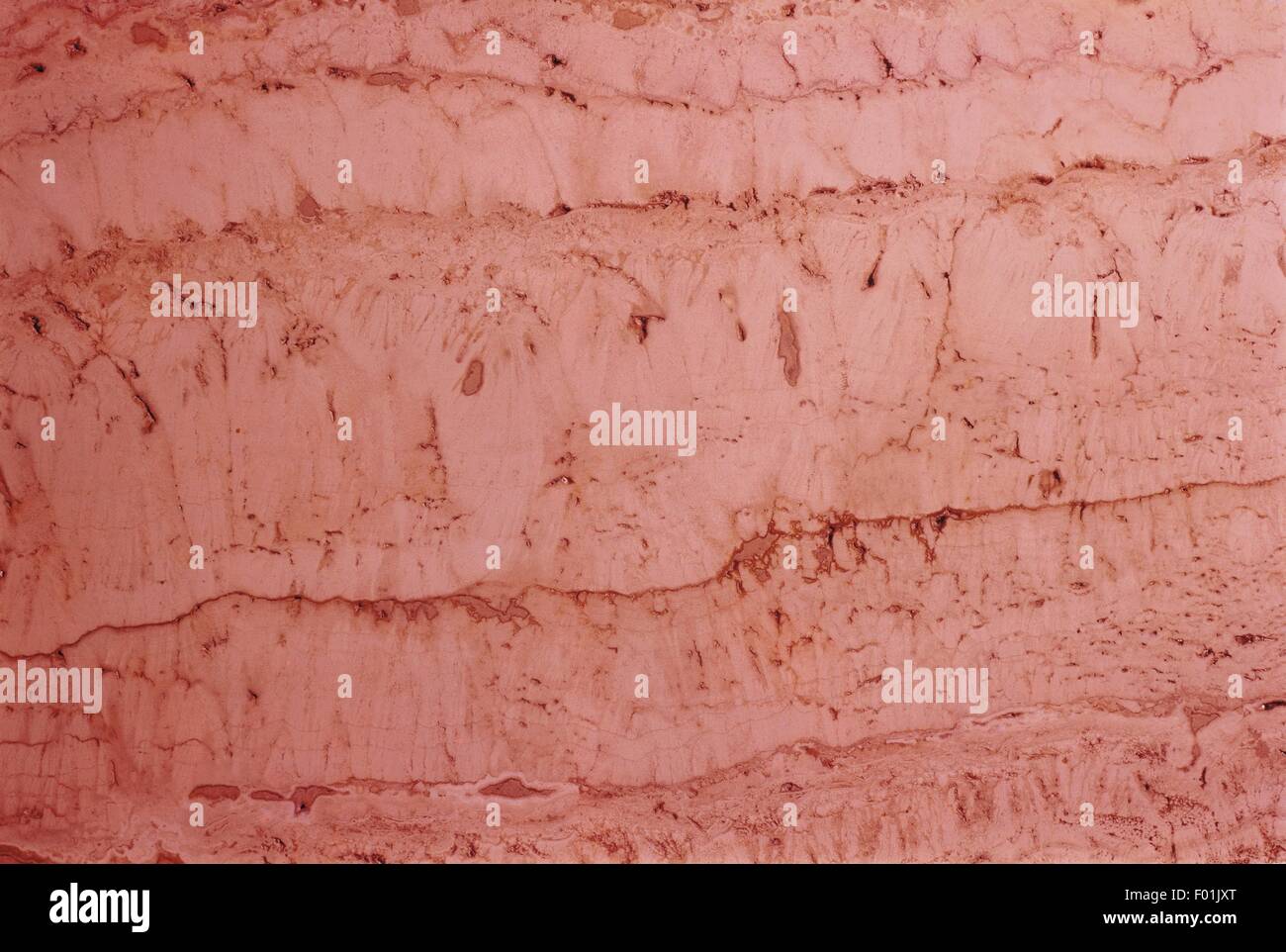 Minerals: Sedimentary rocks. Light-color travertine Stock Photo - Alamy