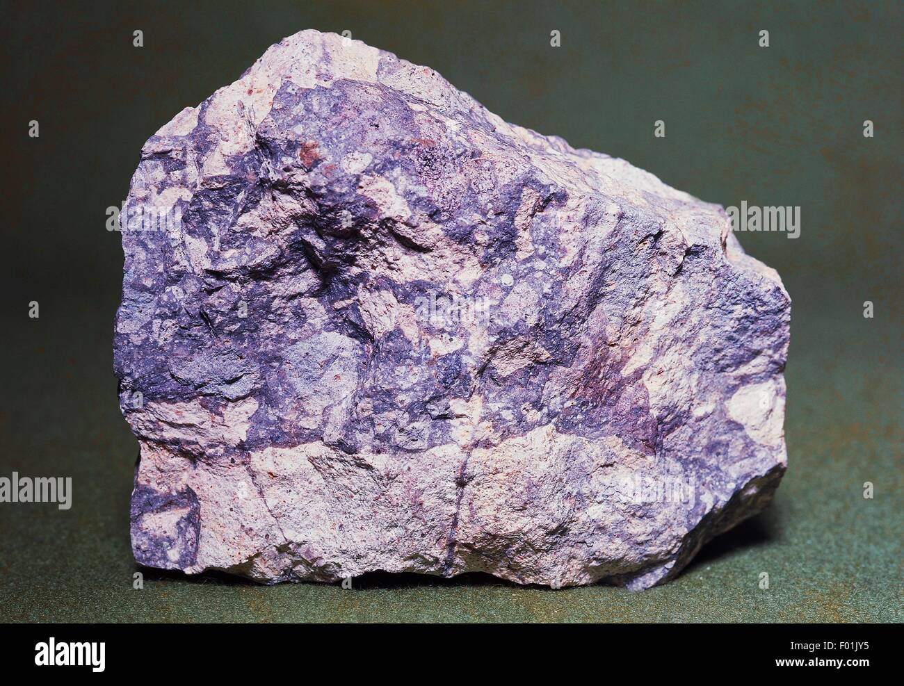 Breccia, sedimentary rock Stock Photo - Alamy