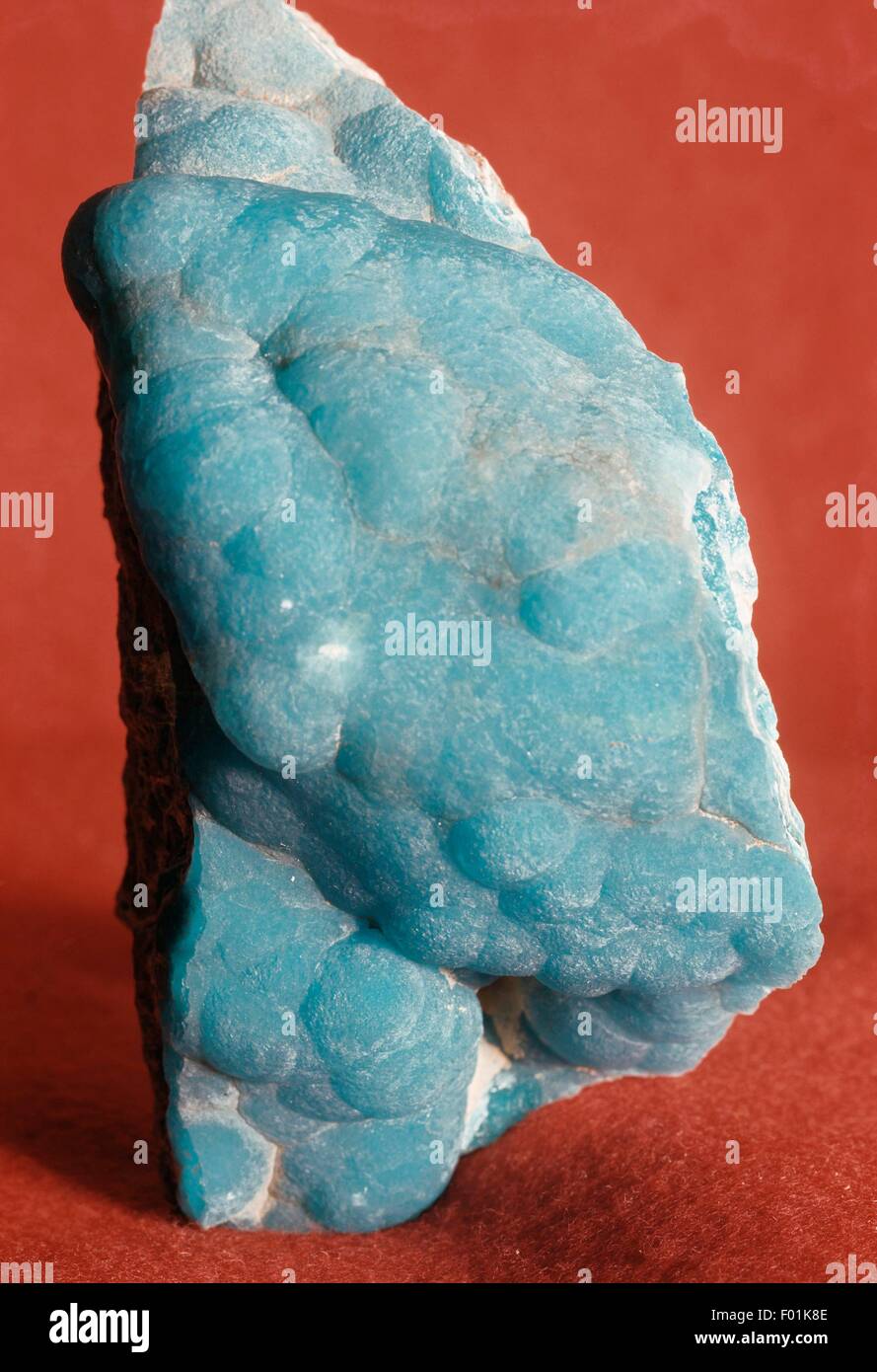 Mammillary High Resolution Stock Photography and Images - Alamy