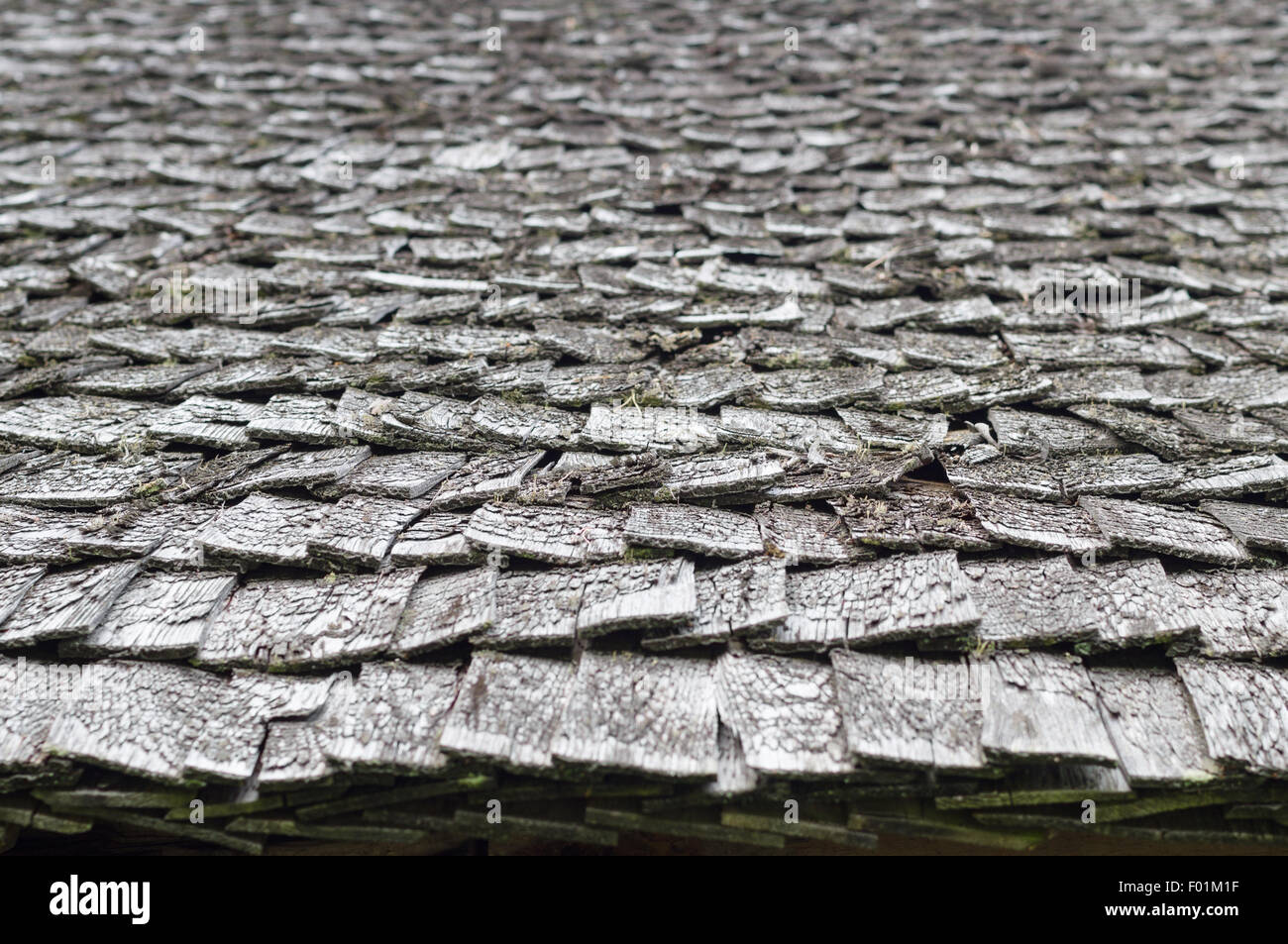 Old and weathered wooden roof shingle, blurred texture and background ...