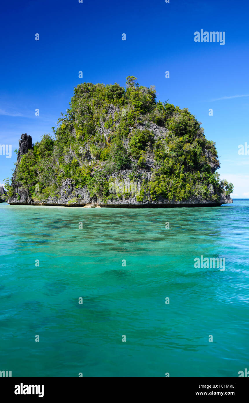 Vegetation covered karst rock island surrounded by coral reef, Misool ...