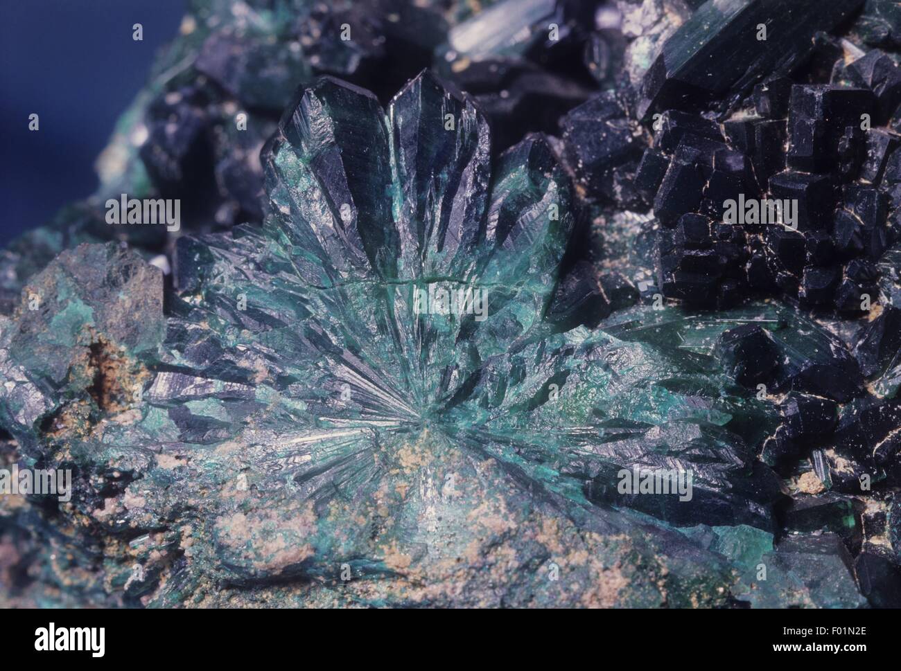 Dioptase hi-res stock photography and images - Alamy