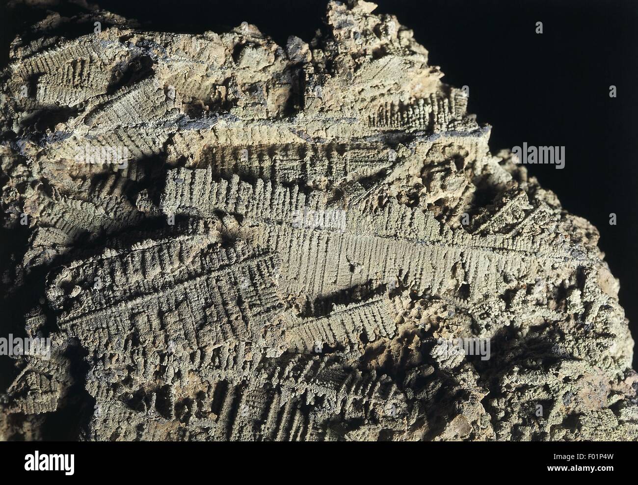 Nickel arsenide hi-res stock photography and images - Alamy