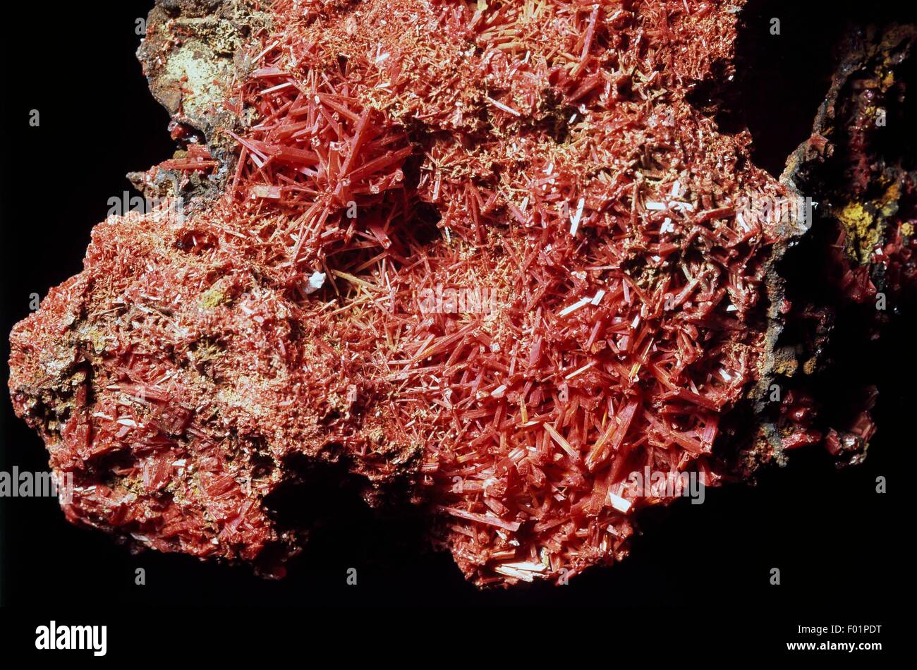 Crocoite Mineral High Resolution Stock Photography and Images - Alamy