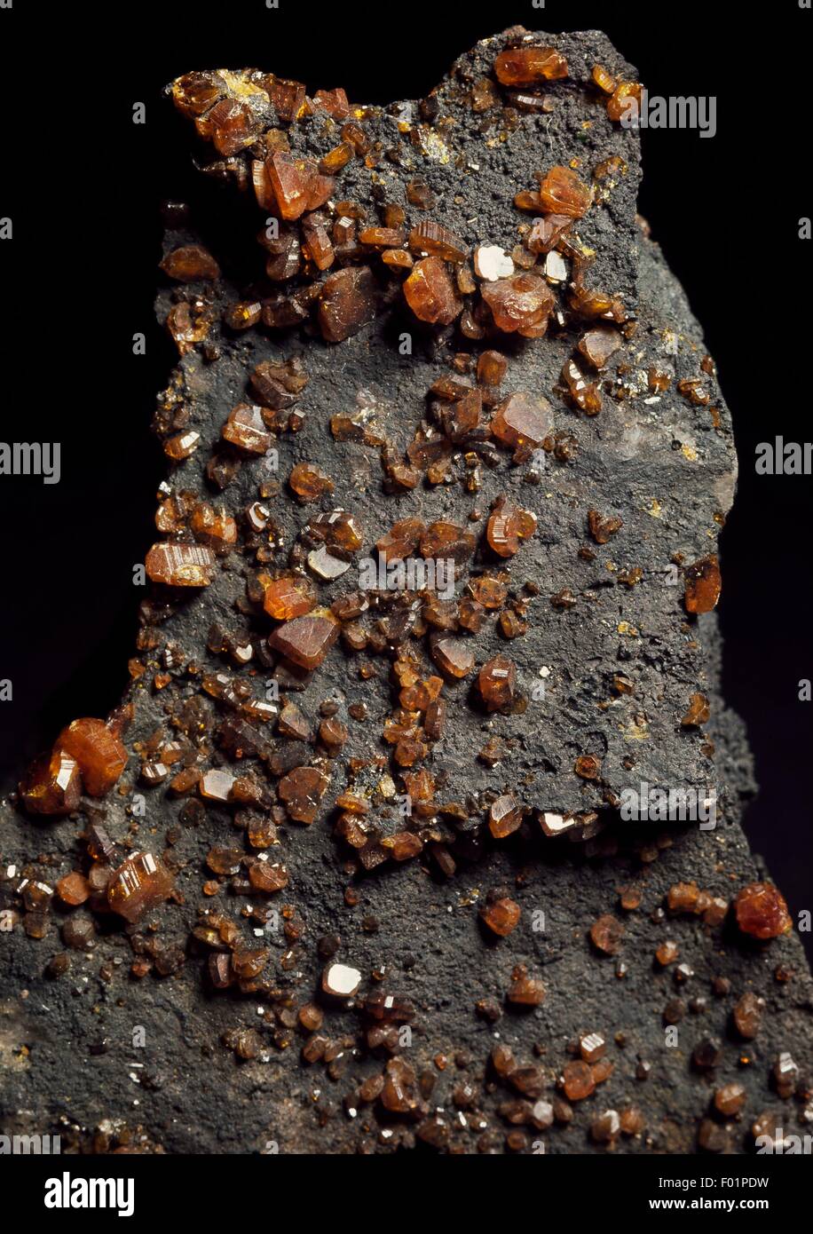 Stolzite hi-res stock photography and images - Alamy