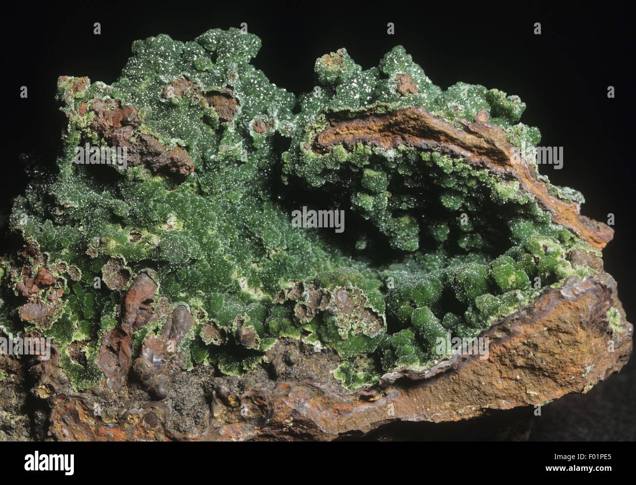 Austinite hi-res stock photography and images - Alamy