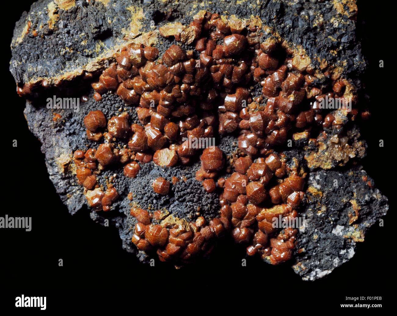 Campylite, phosphate, variety of Mimetite Stock Photo - Alamy