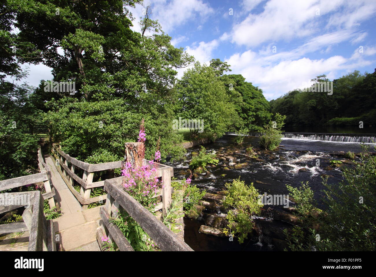 A wooden footbridge spans the River Derwent by Bamford Mill and weir ...