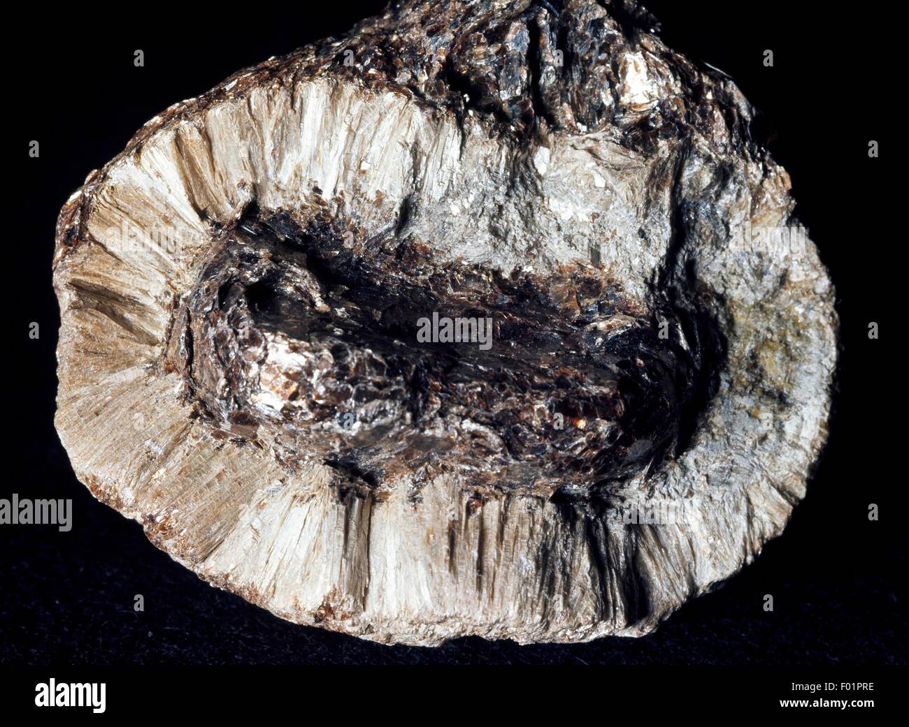 Anthophyllite hi-res stock photography and images - Alamy