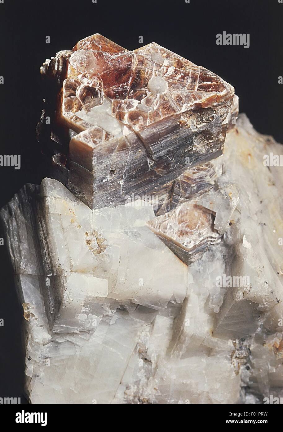 Phlogopite hi-res stock photography and images - Alamy