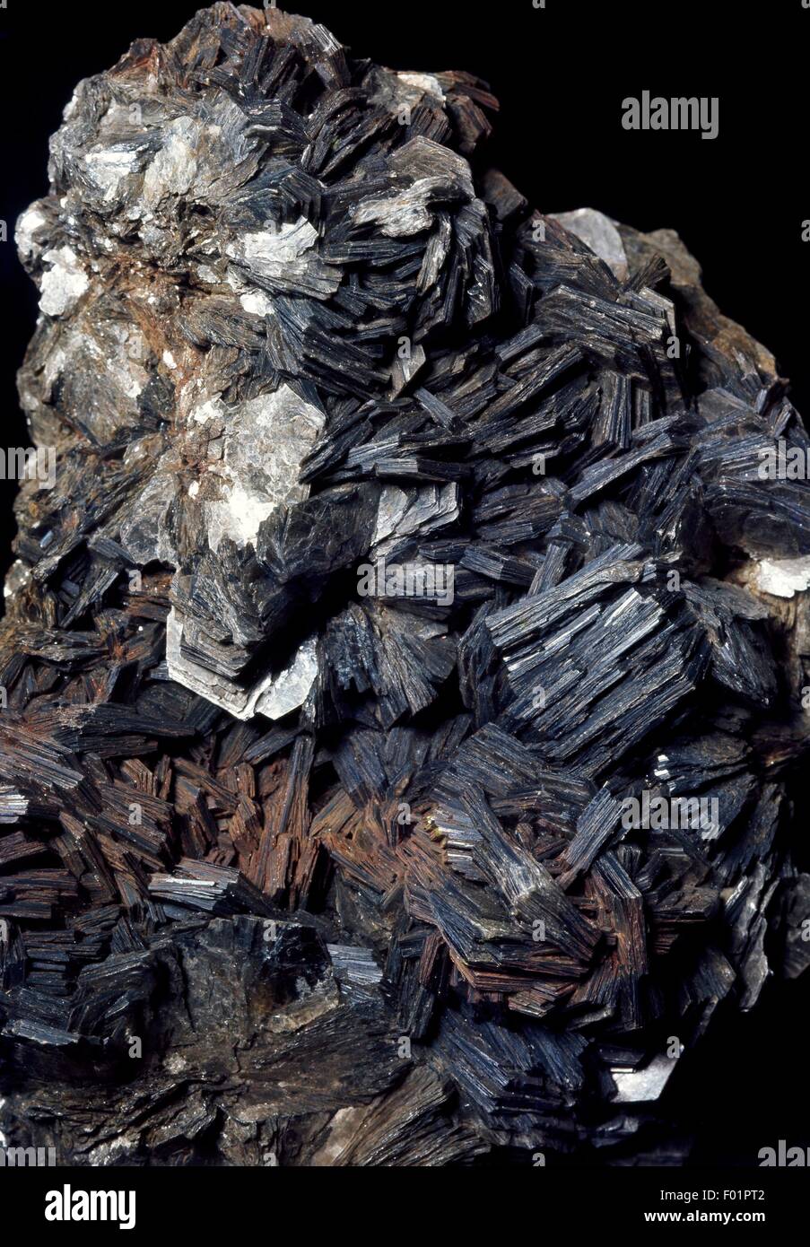 Zinnwaldite hi-res stock photography and images - Alamy