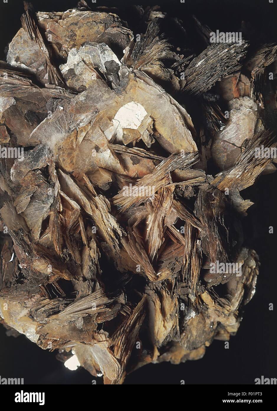 Silicates hi-res stock photography and images - Alamy