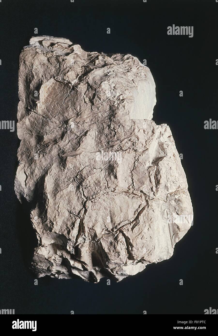 Silicates minerals hi-res stock photography and images - Alamy