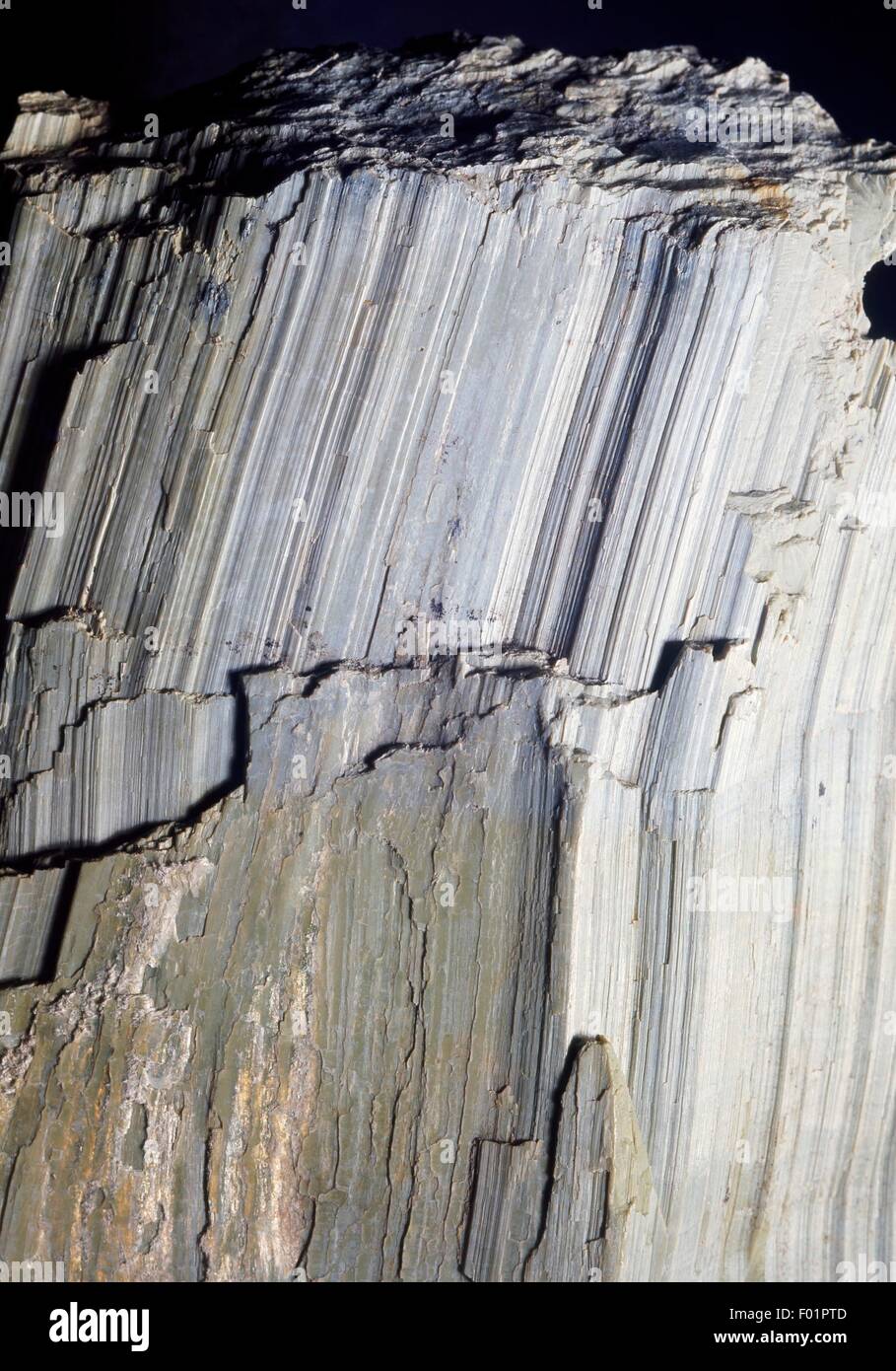 Antigorite, silicate, variety of Serpentine Stock Photo - Alamy