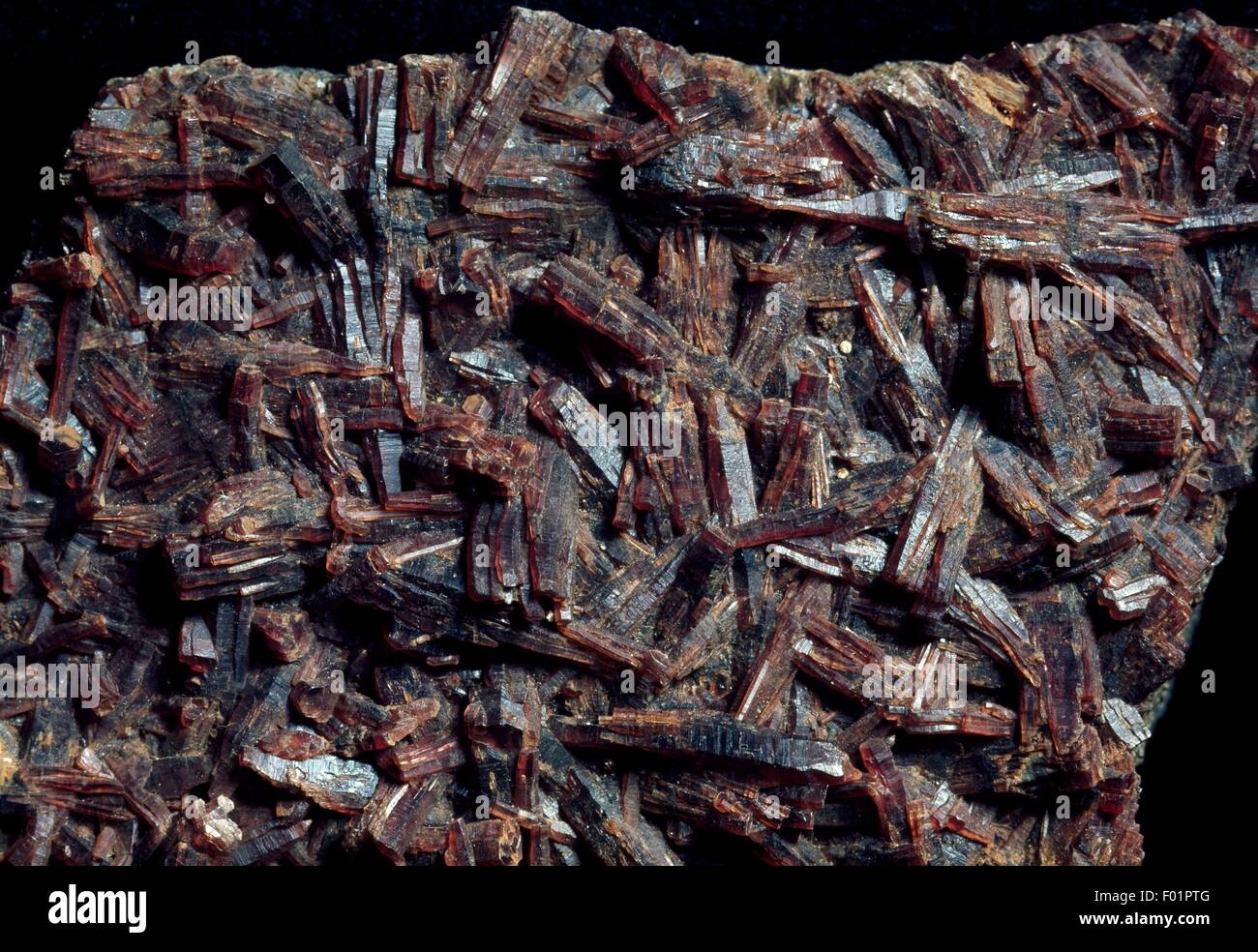 Silicates hi-res stock photography and images - Alamy