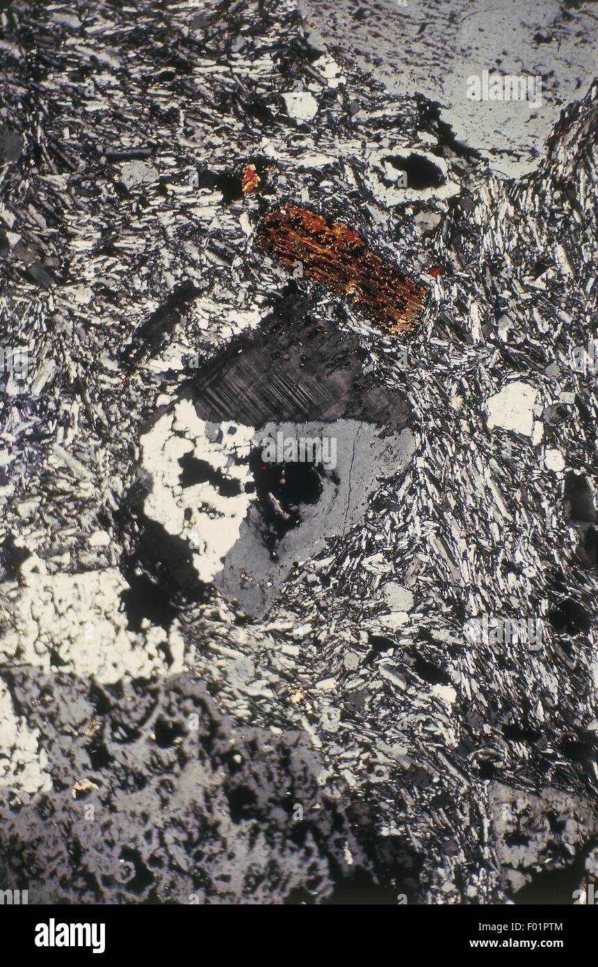 Trachyte Porphyry Thin Section