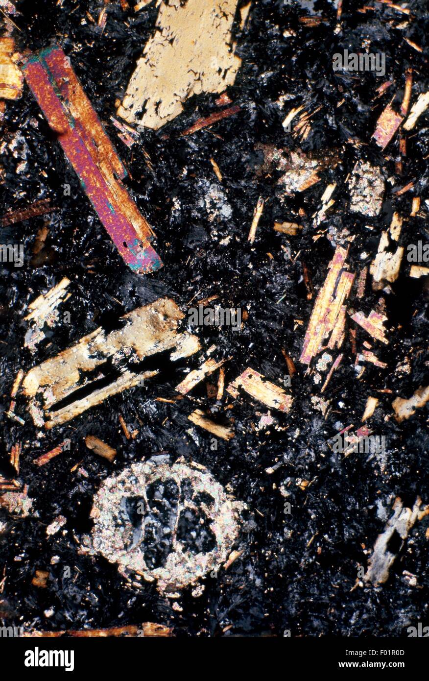 Kersantite, magmatic rock, thin section, using crossed Nicols, x29x1,5 ...