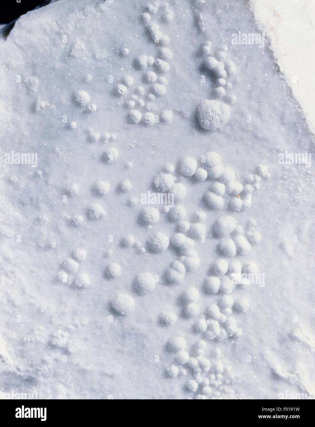 Globular Hydromagnesite, carbonate, on Marble, metamorphic rock Stock ...