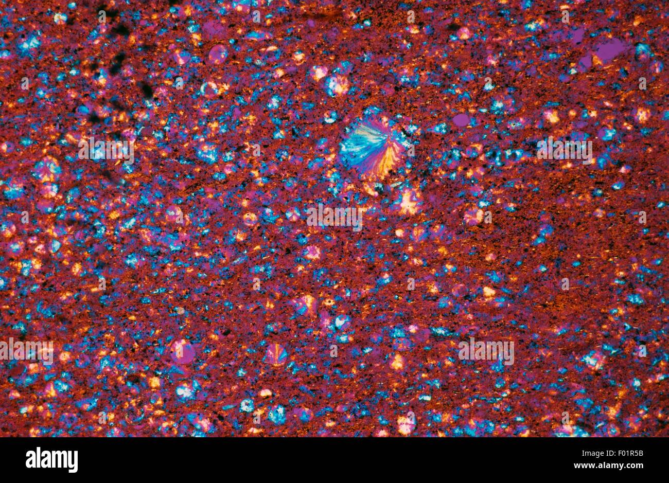 Radiolarite from Jurassic, from Burlingo (Bergamo, Italy), thin section ...