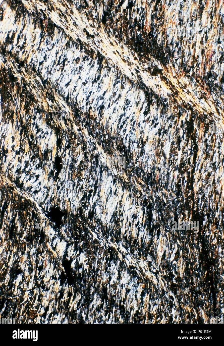 Chloritic Schist, metamorphic rock, section Stock Photo - Alamy