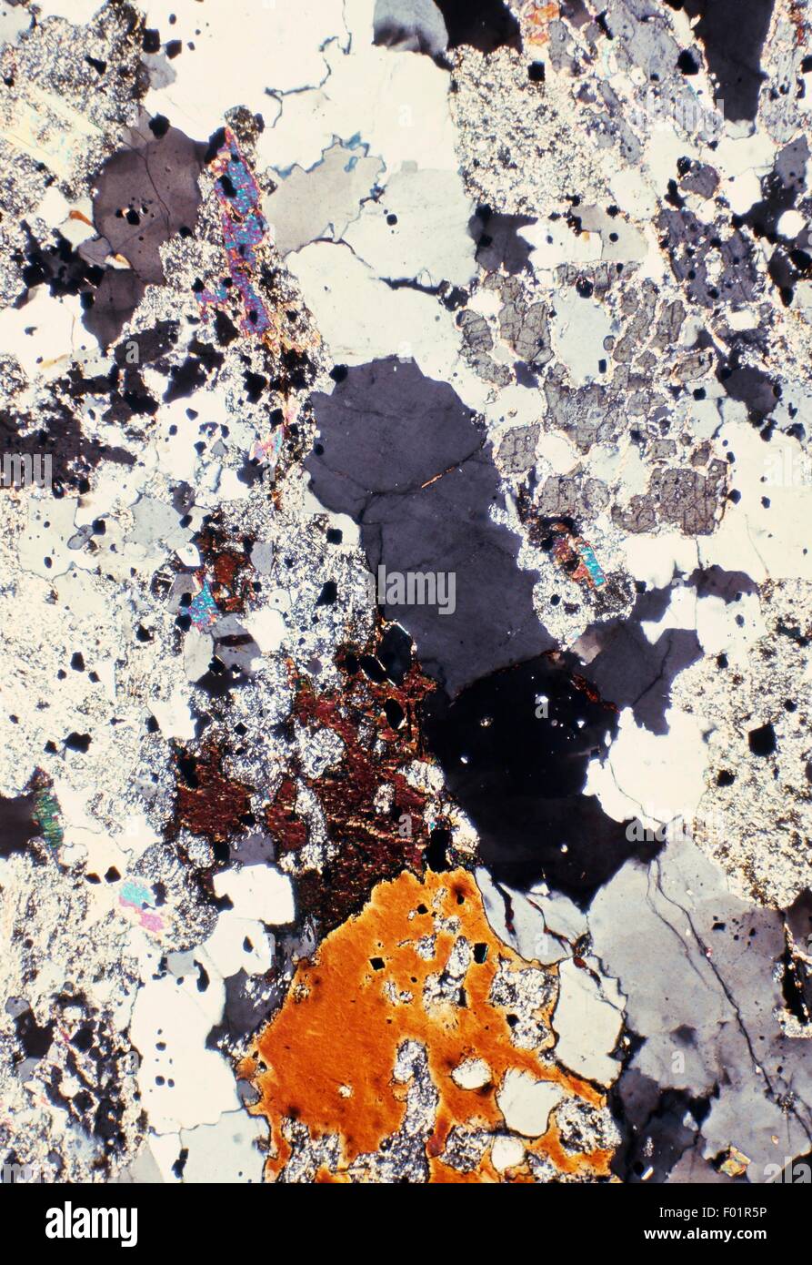 Hornfels, metamorphic rock, with Andalusite, silicate, section Stock ...