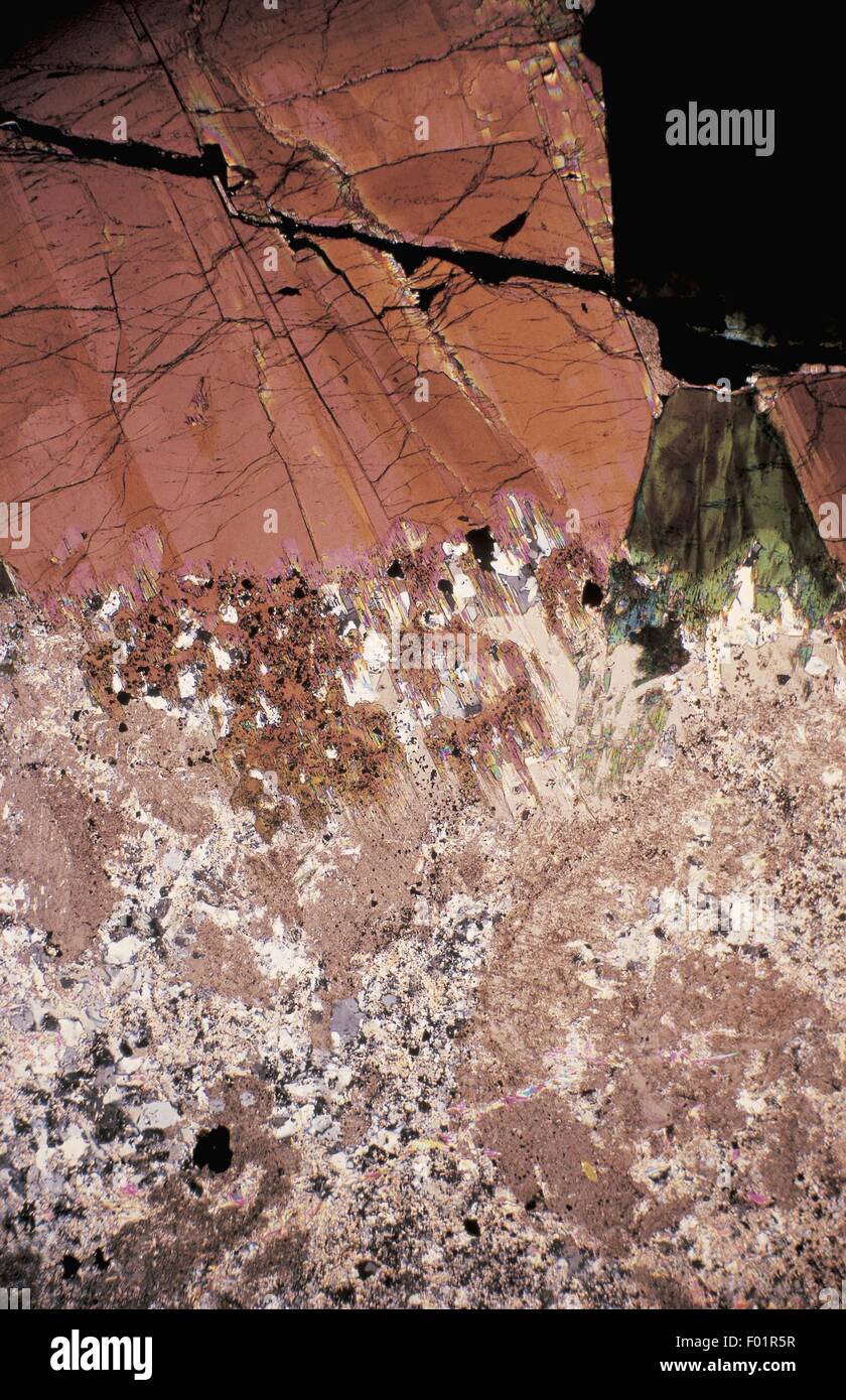 Tourmaline Thin Section