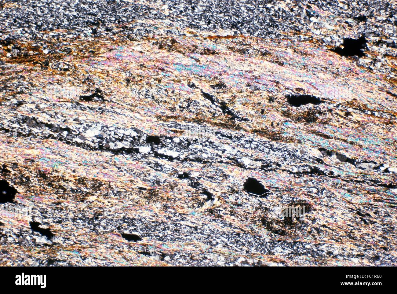 Phyllite, shale, section Stock Photo - Alamy