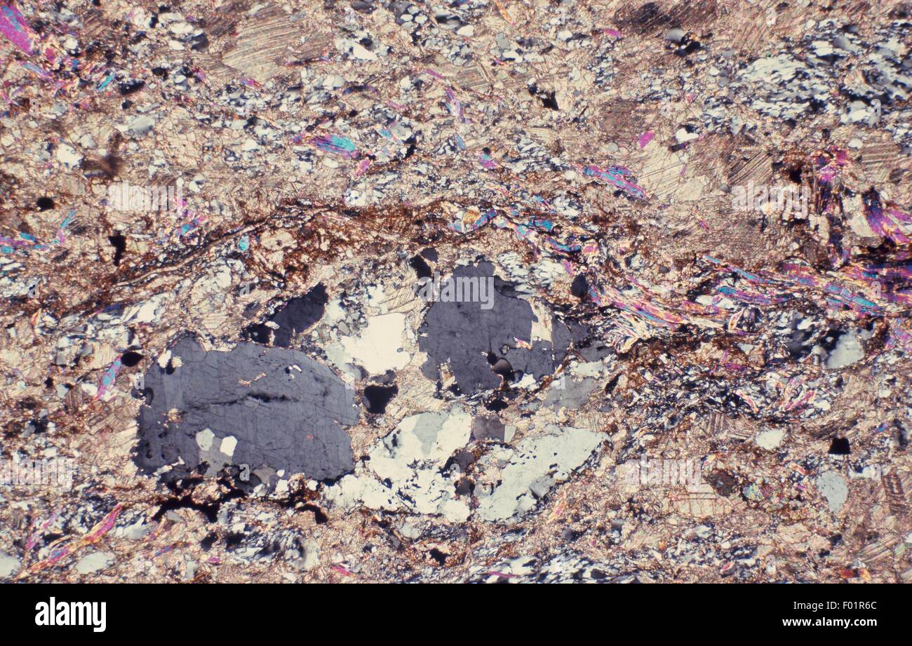 Lime-schist, metamorphic rock, from Valsesia (Piedmont, Italy), thin ...