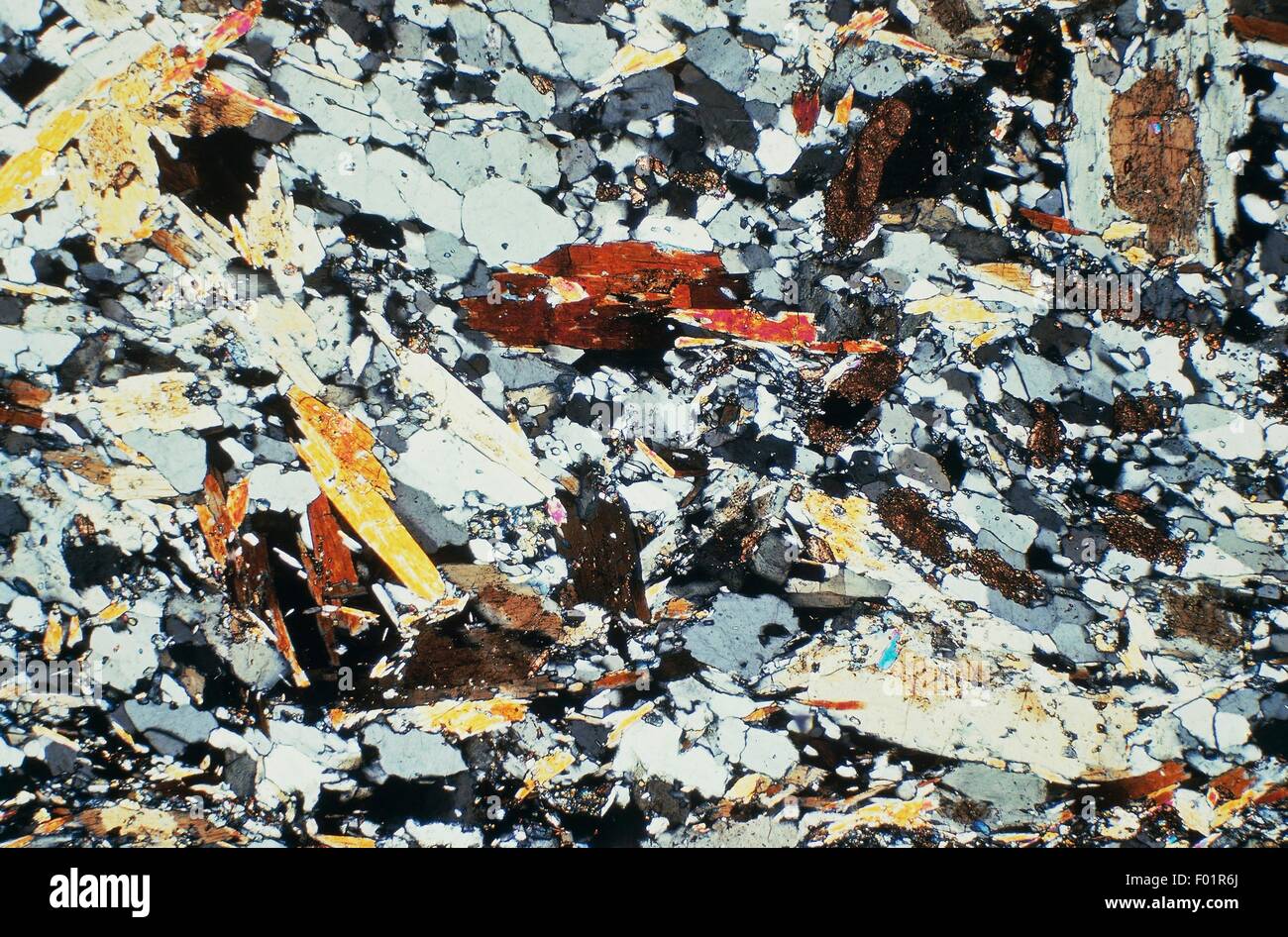 Amphibolite, metamorphic rock, section Stock Photo - Alamy