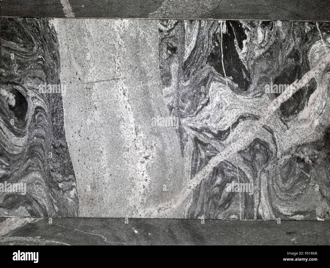 Slab of migmatite, mixture of metamorphic rock and igneous rock Stock ...