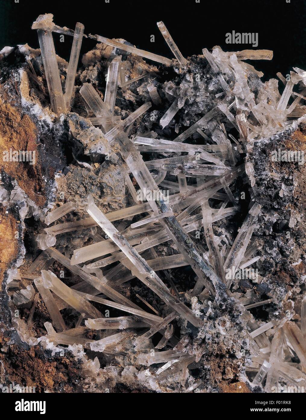 Minerals: Prismatic gypsum in limonite Stock Photo - Alamy