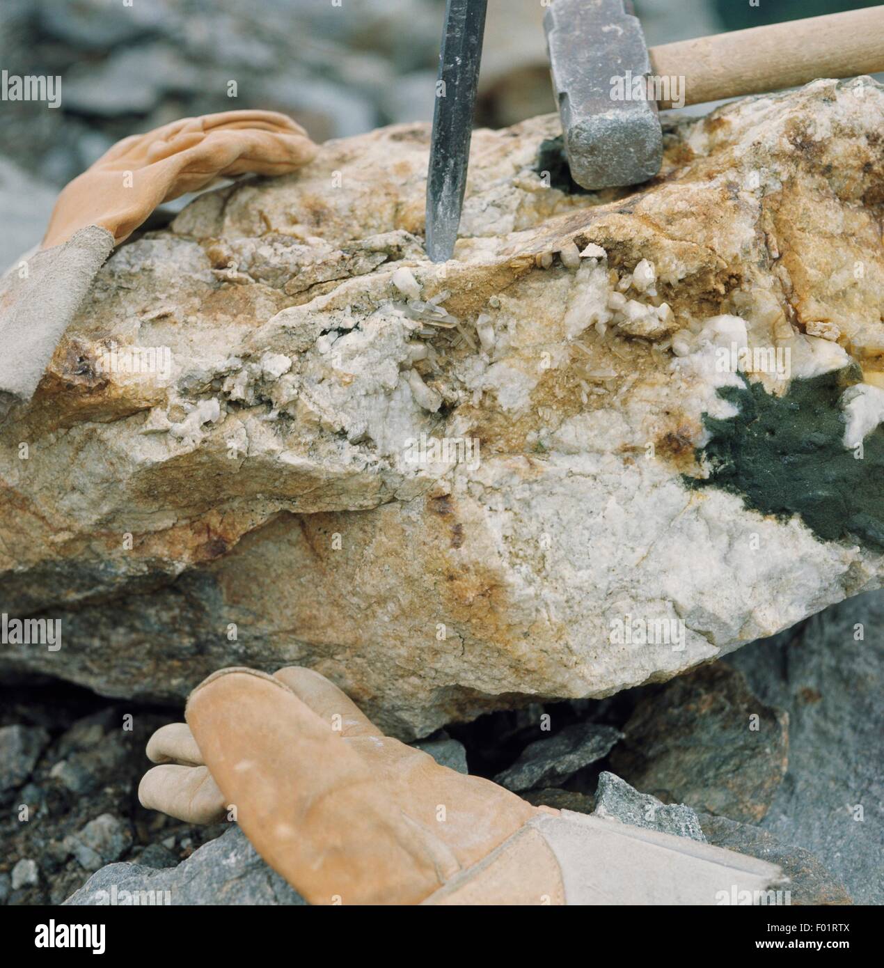 Gneiss, metamorphic rock, with Quartz, oxide, and Green Chlorite ...