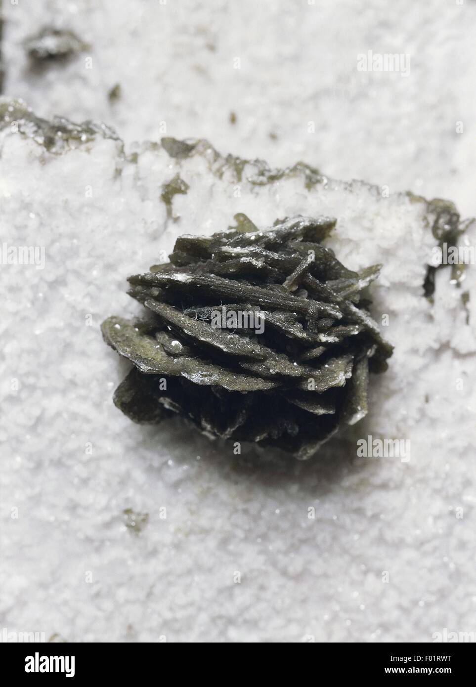 Minerals: Roselike zinnwaldite Stock Photo - Alamy