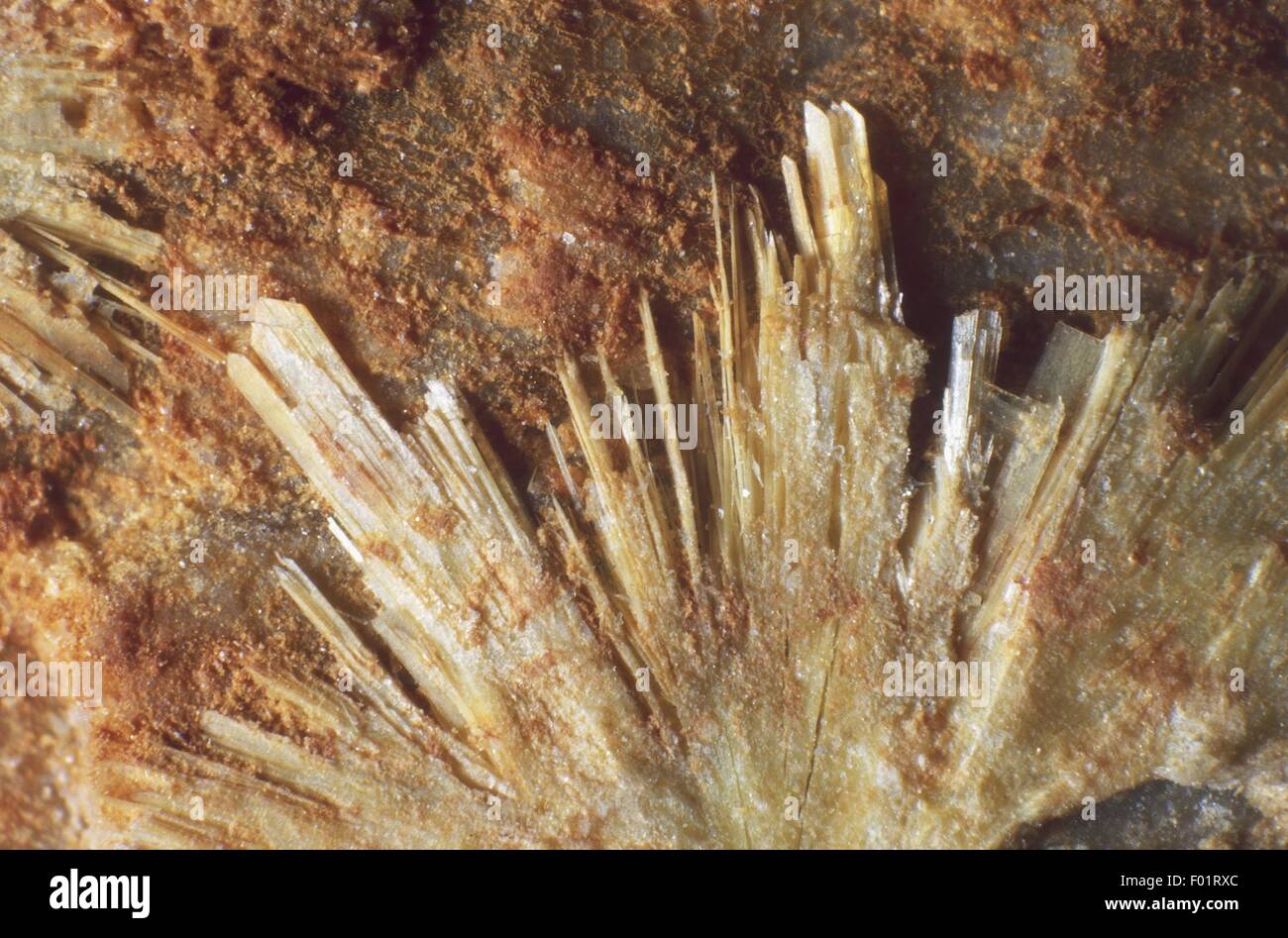 Minerals: Uranophane (Hydrated Calcium Uranyl Silicate Stock Photo - Alamy