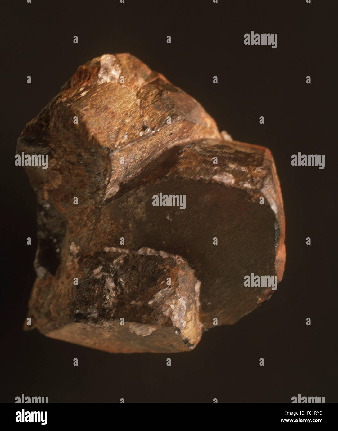 Davidite hi-res stock photography and images - Alamy